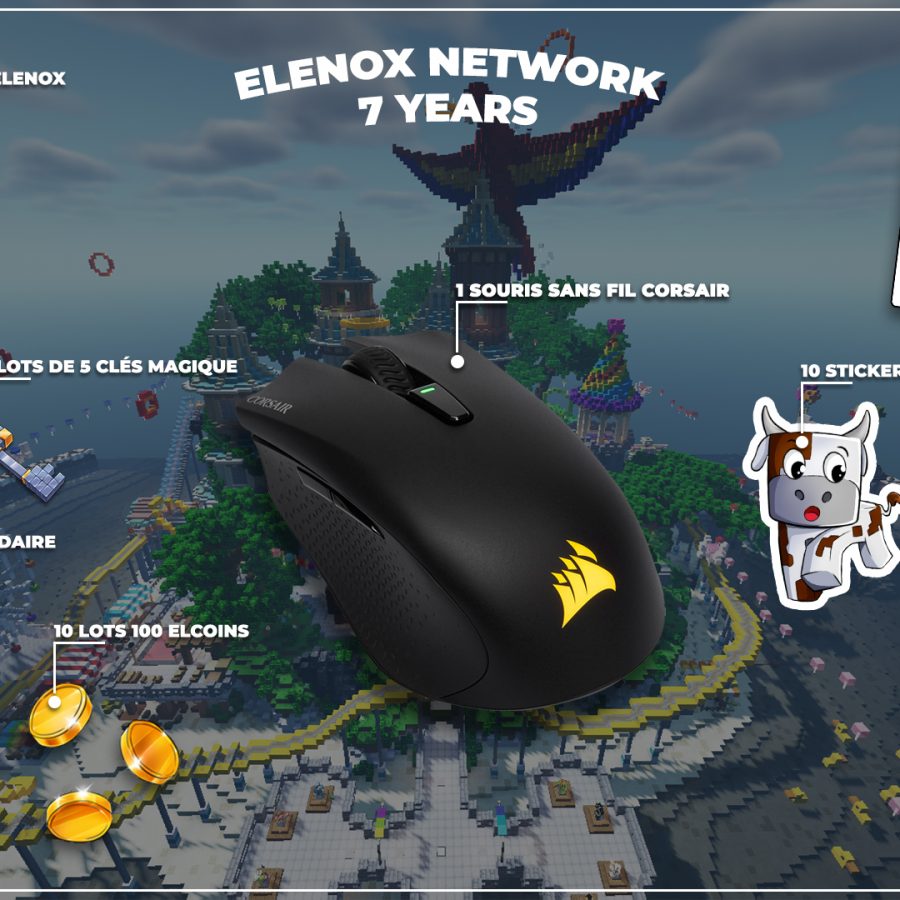 Bingo d'anniversaire ! – Serveur Minecraft